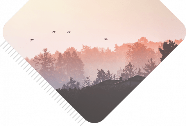 Akepa - The Sustainable Agency | About Us