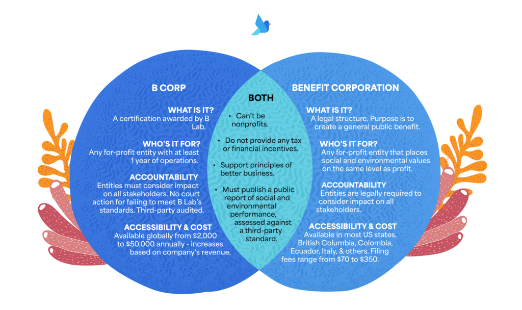 Alternatives to B Corp Certification | 2026 Guide