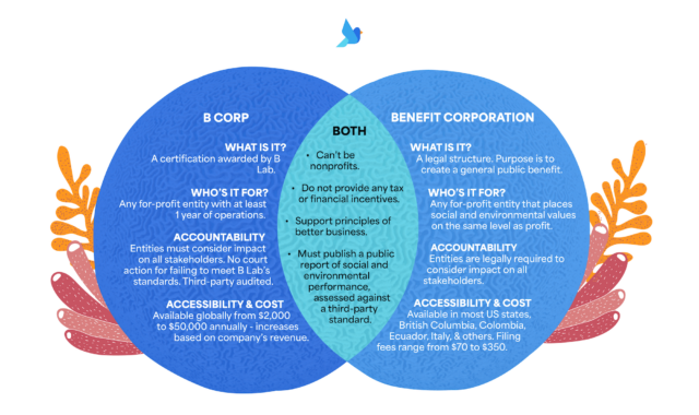 Alternatives to B Corp Certification | 2025 Guide