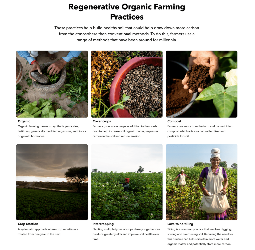 Regenerative vs Sustainable | What does regenerative mean?
