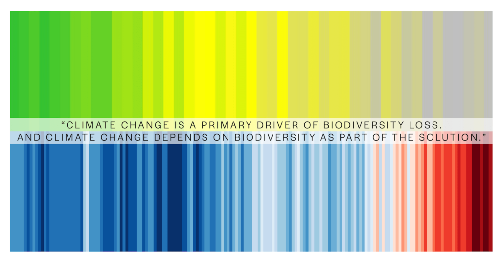 What does biodiversity mean & why is biodiversity important?