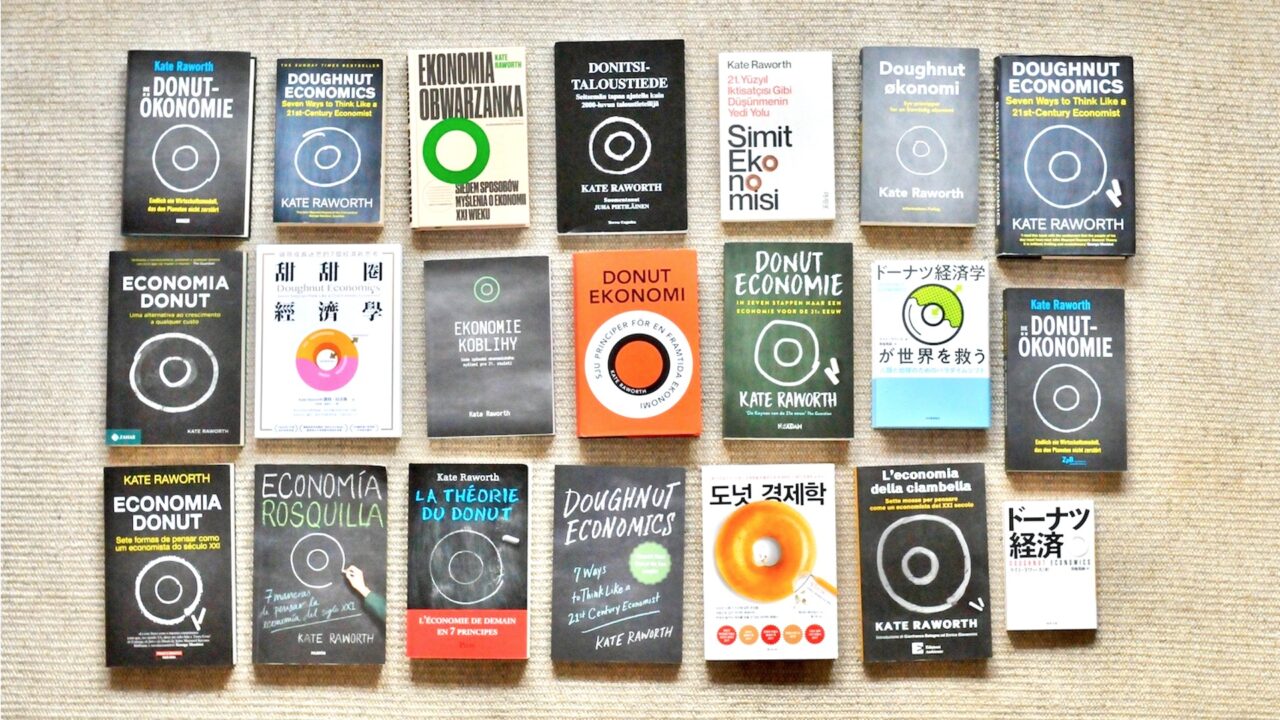 What is Doughnut Economics? Theory, Definition & Examples