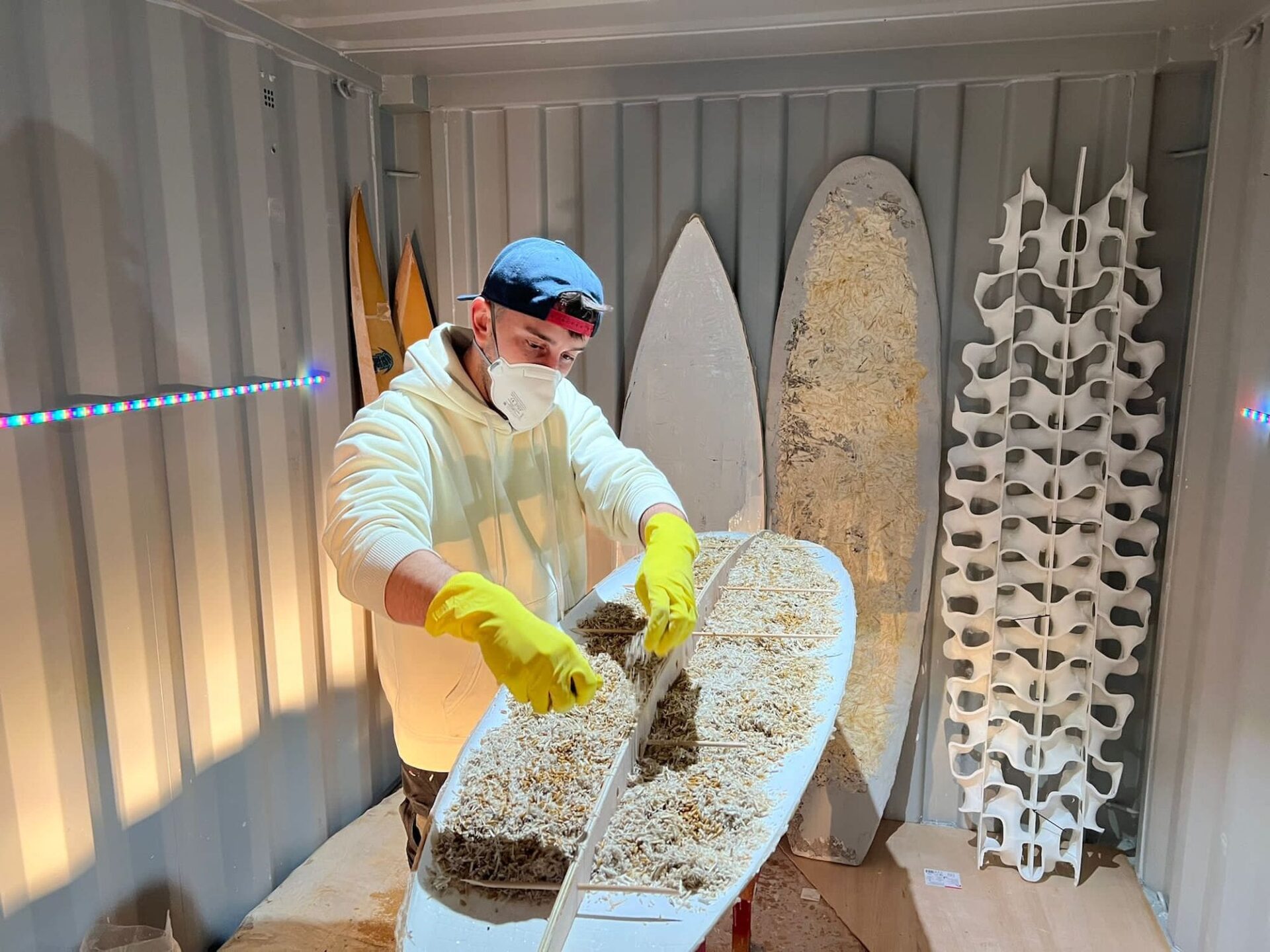 An Interview with Steve Davies, Mycelium Surfboard Designer